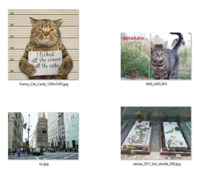 LM-Kit Goes Multimodal: Introducing Vision Support